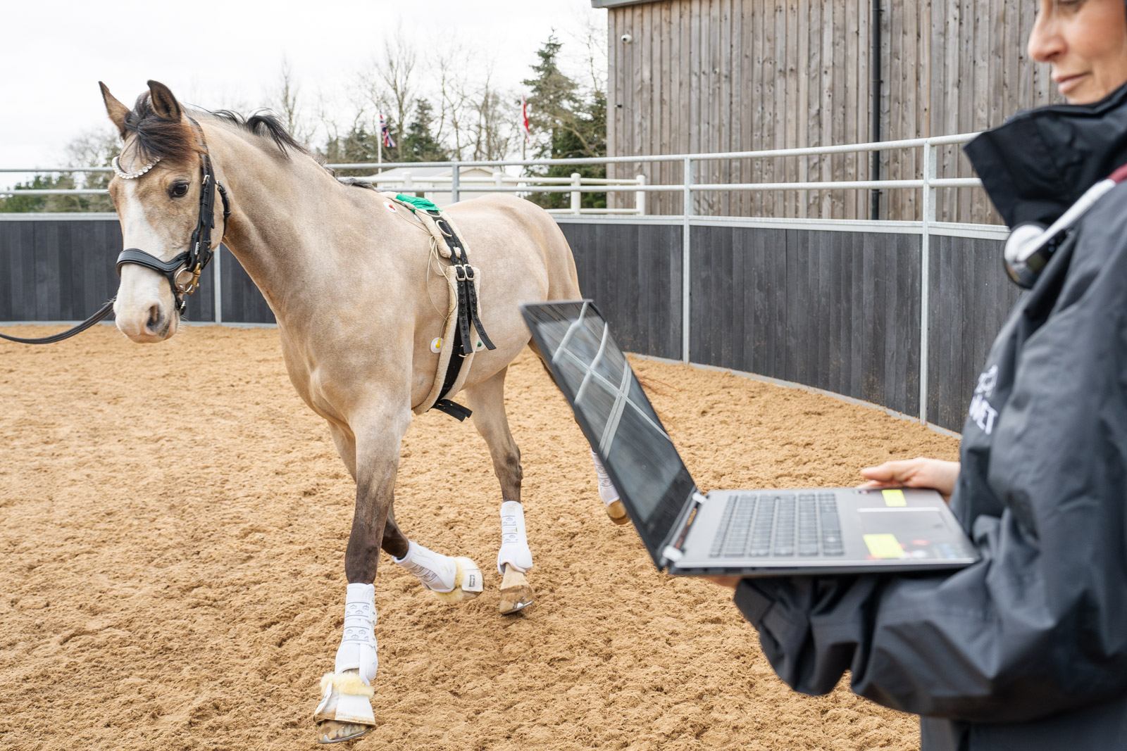 Equivet | Dedicated Equine Vets in South East England